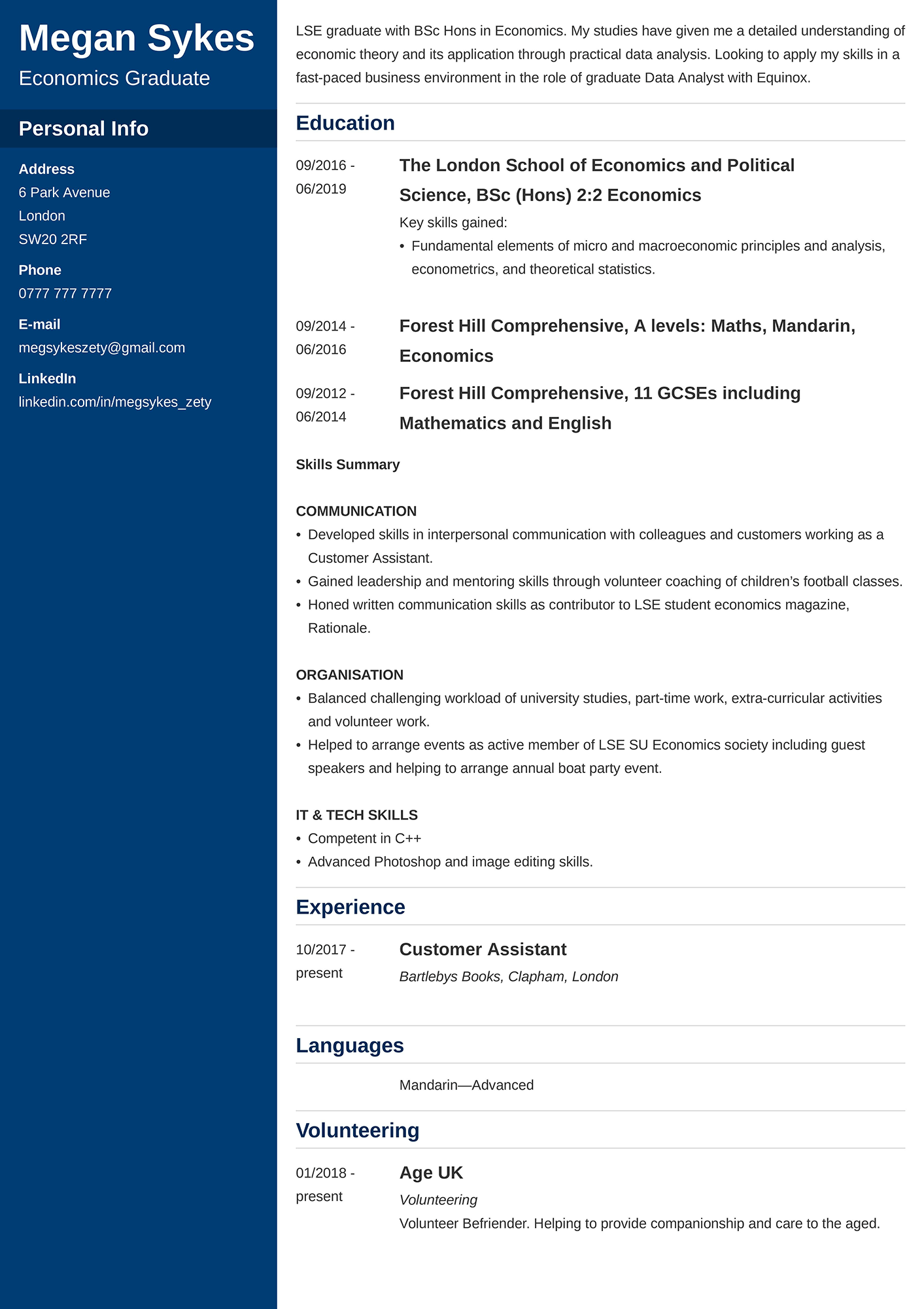 100 Best CV Examples Sample CVs For Any Job In 2022