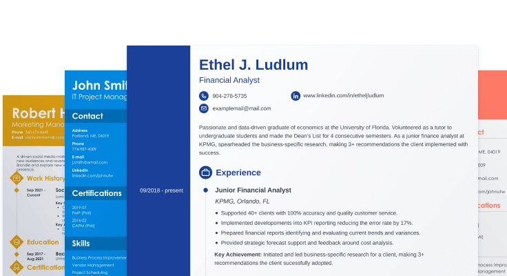 Free Professional Resume Examples for All Jobs