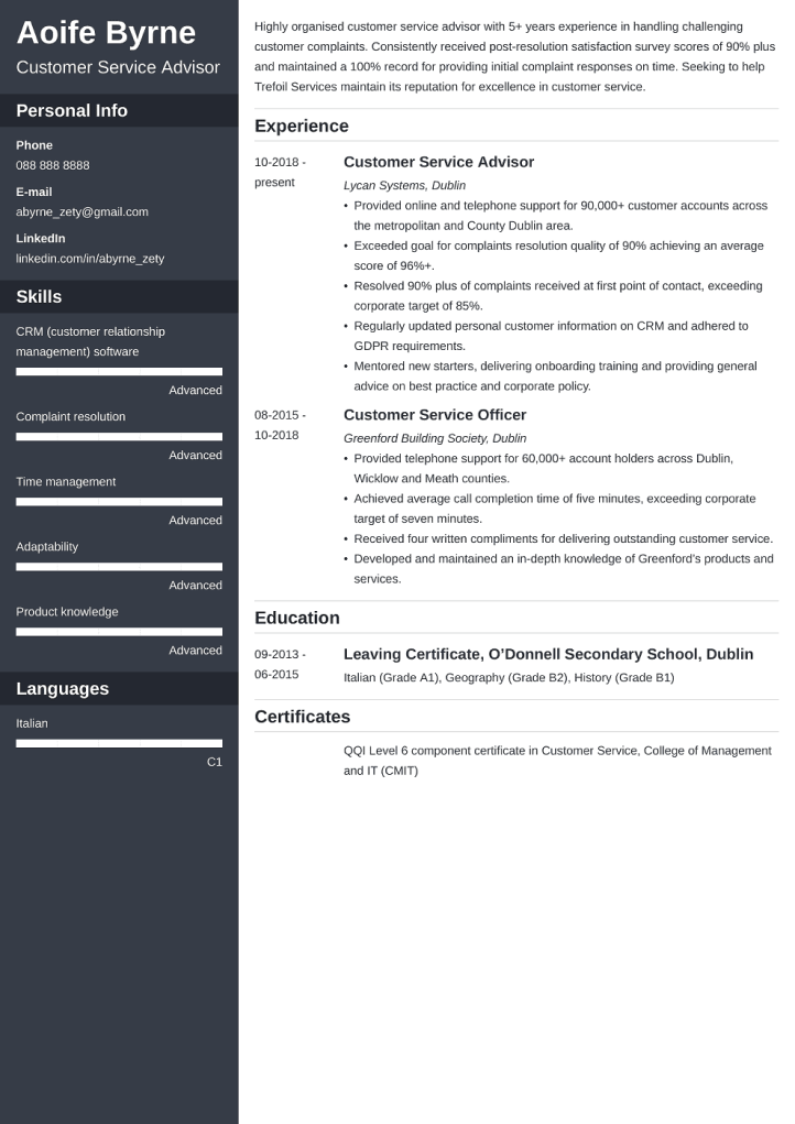 18+ Professional CV Templates to Fill for Free & Download