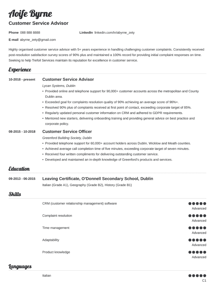 18+ Professional CV Templates to Fill for Free & Download
