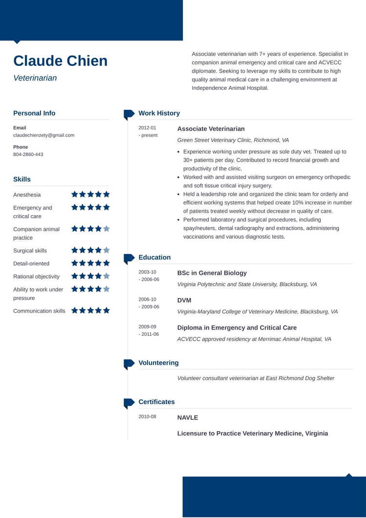 15+ Unique Resume Templates to Download & Use Now