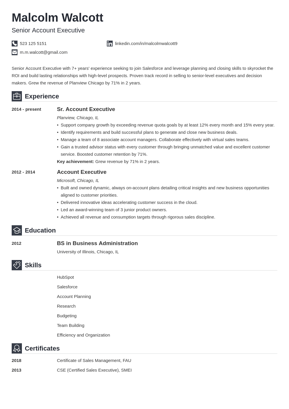 Executive Summary Resume Sample
