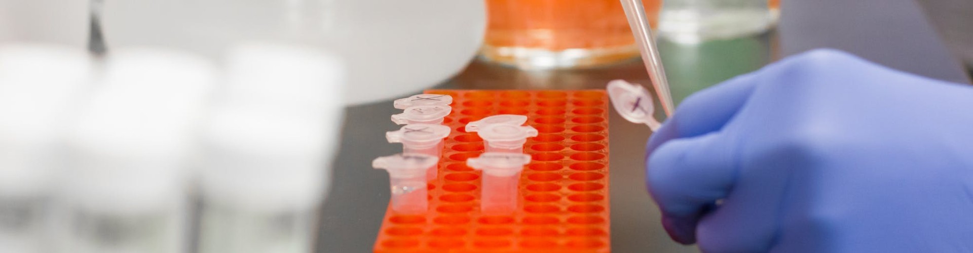 Biology Cover Letter Example & Writing Guide for Biologists