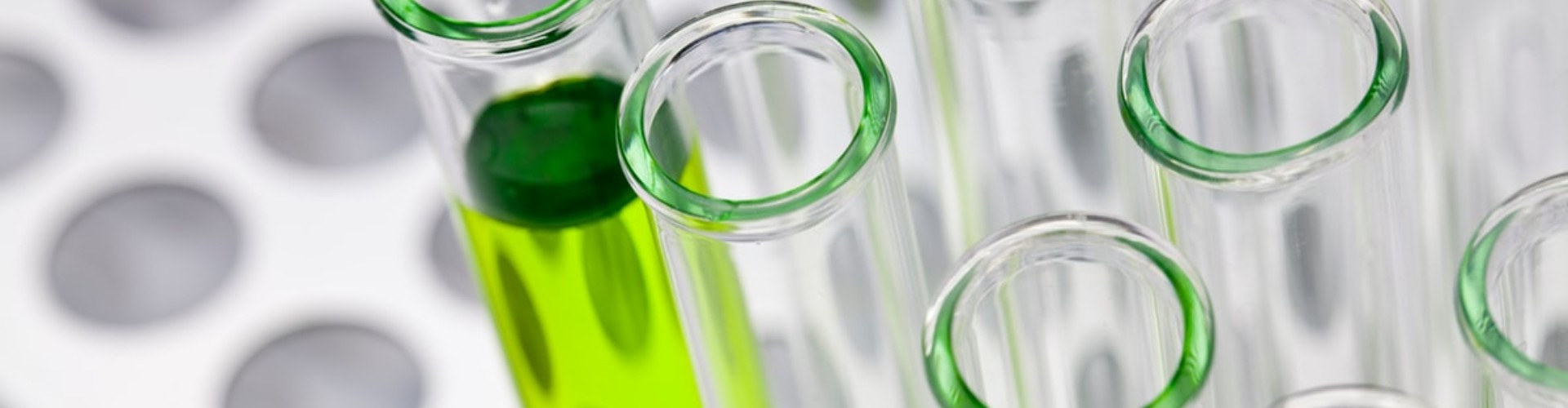 Biology Resume Examples [Also for Entry-Level Biologists]