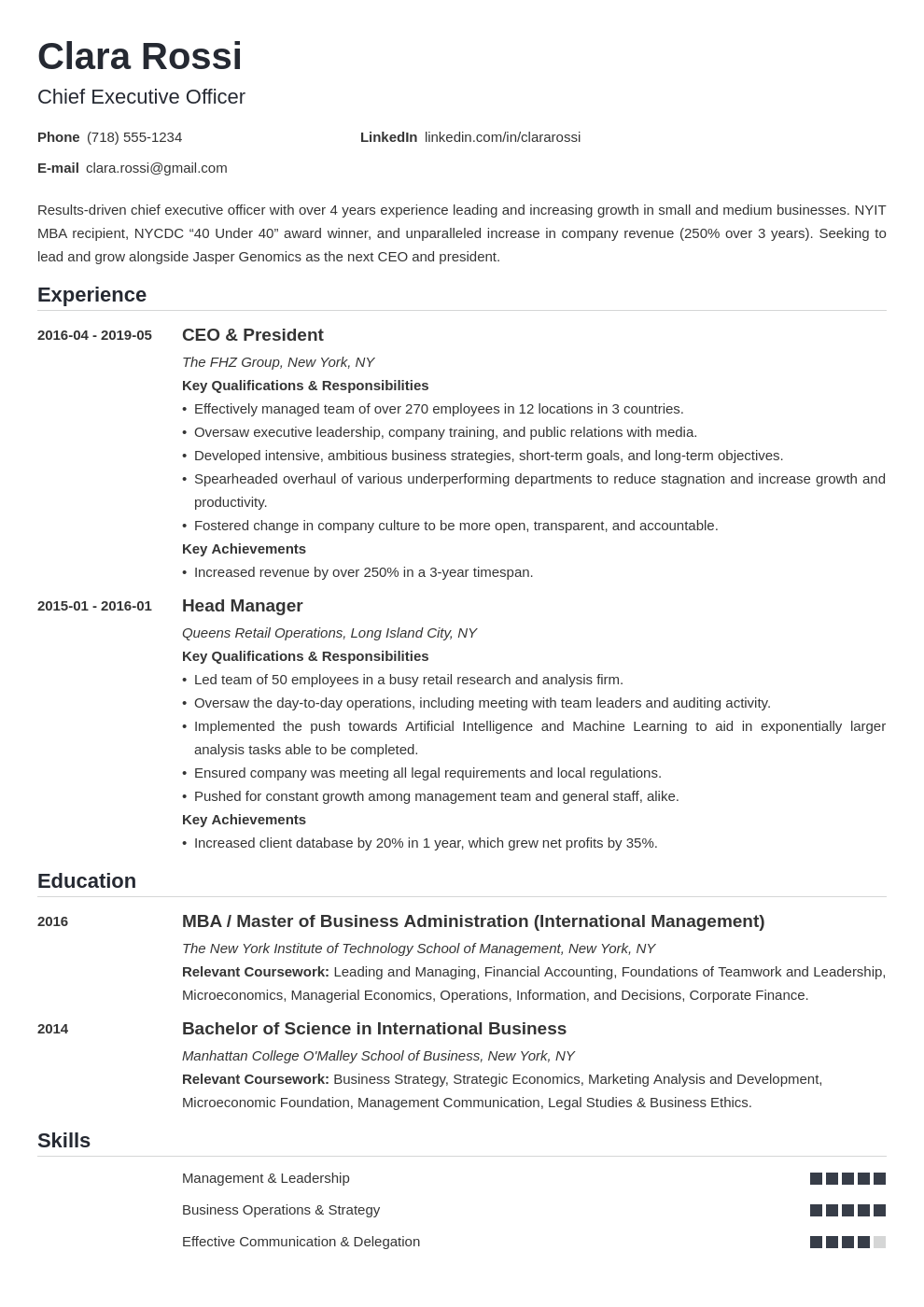 Chief Executive Officer CEO Resume Template Examples