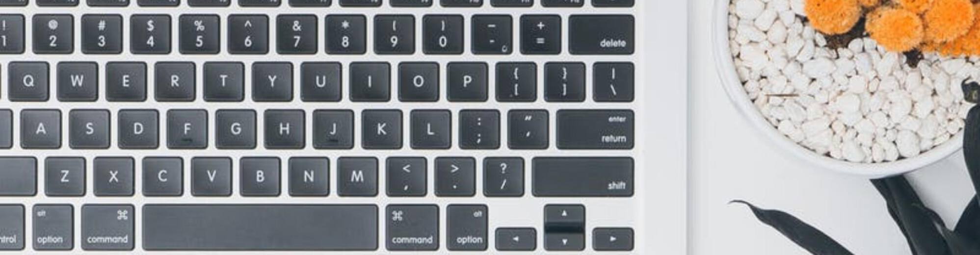 CV Layout: How to Lay Out a Professional CV [5+ Examples]