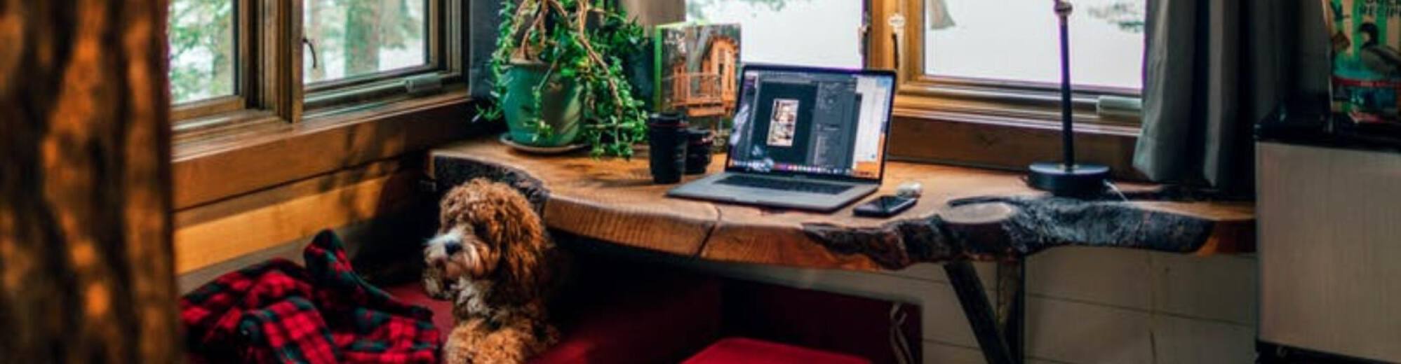 Free CV Templates (UK Format) for Download: 20+ Examples