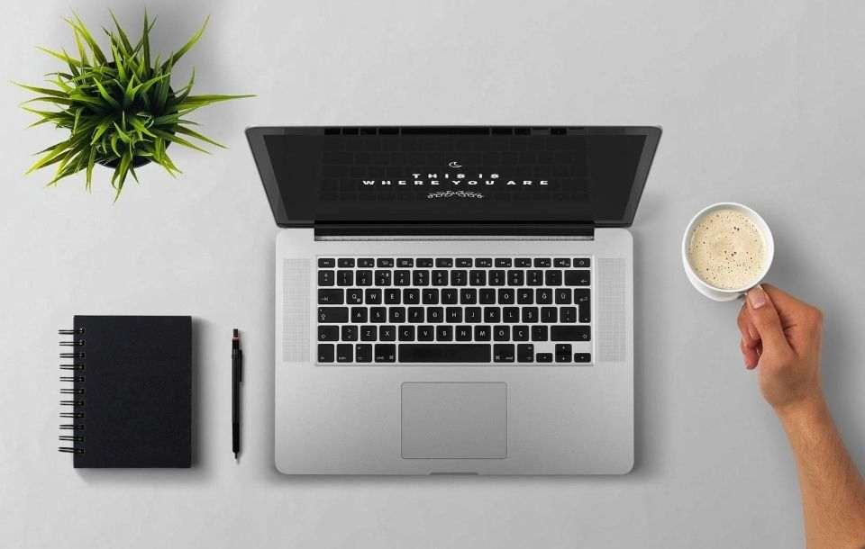 Data Scientist Resume: Sample & Writing Guide + Tips