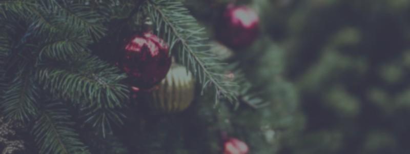 Mall Santa Resume: Sample & Complete Guide [20+ Examples]