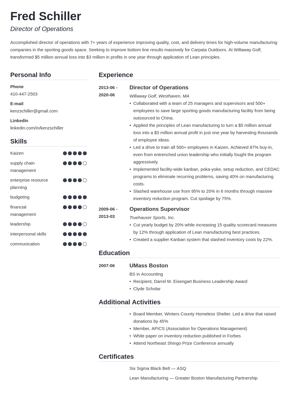 Director of Operations Resume Examples & Guide