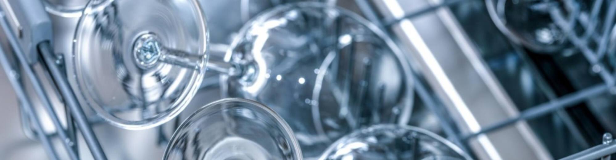 Dishwasher Resume Sample with Job Description & Skills