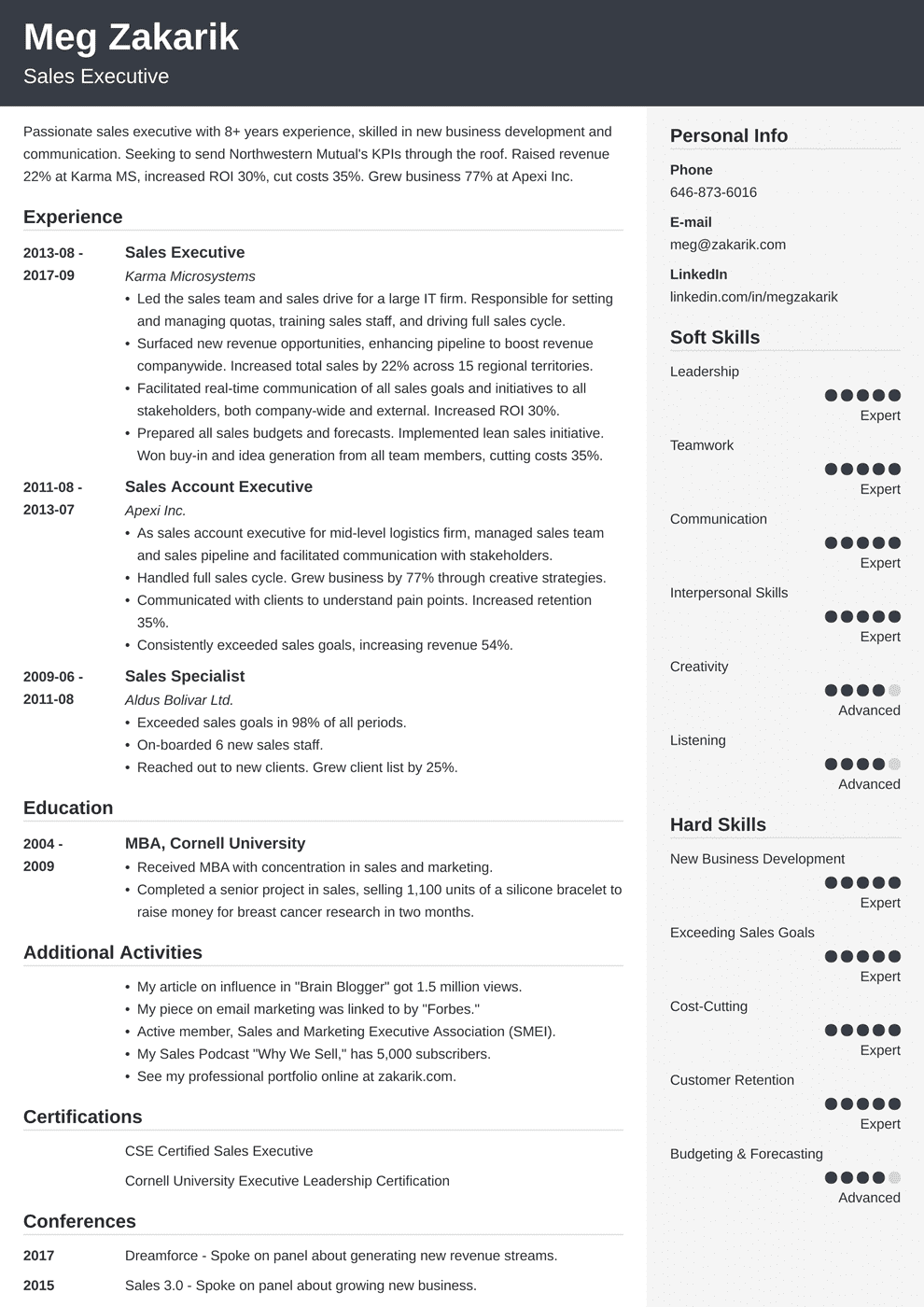 Best Executive Resume Template 20 C Level Examples