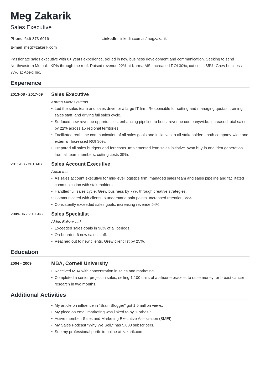 Best Executive Resume Template 20 C Level Examples