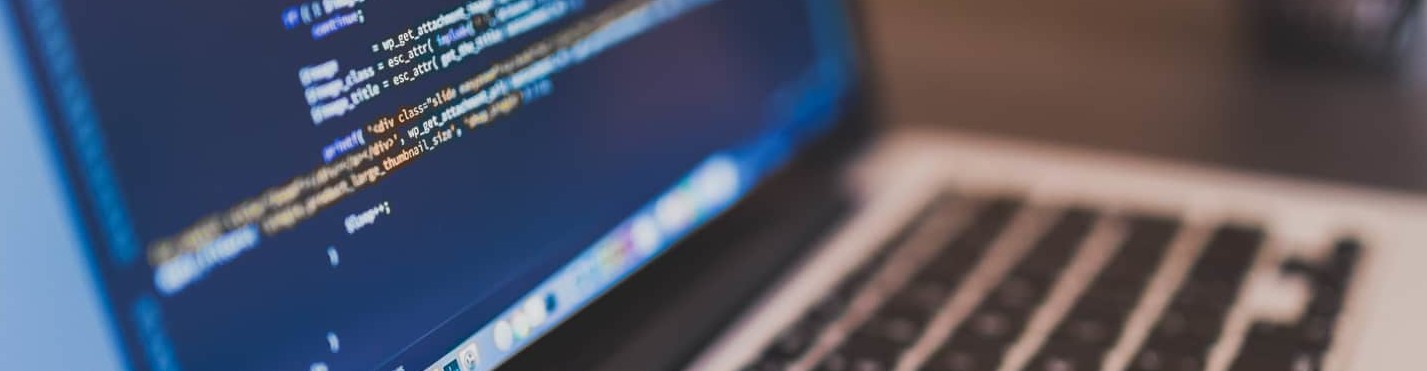 Junior Java Developer Resume: Sample & Guide