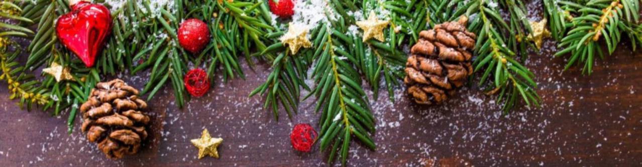 Mall Santa Resume: Sample & Complete Guide [20+ Examples]