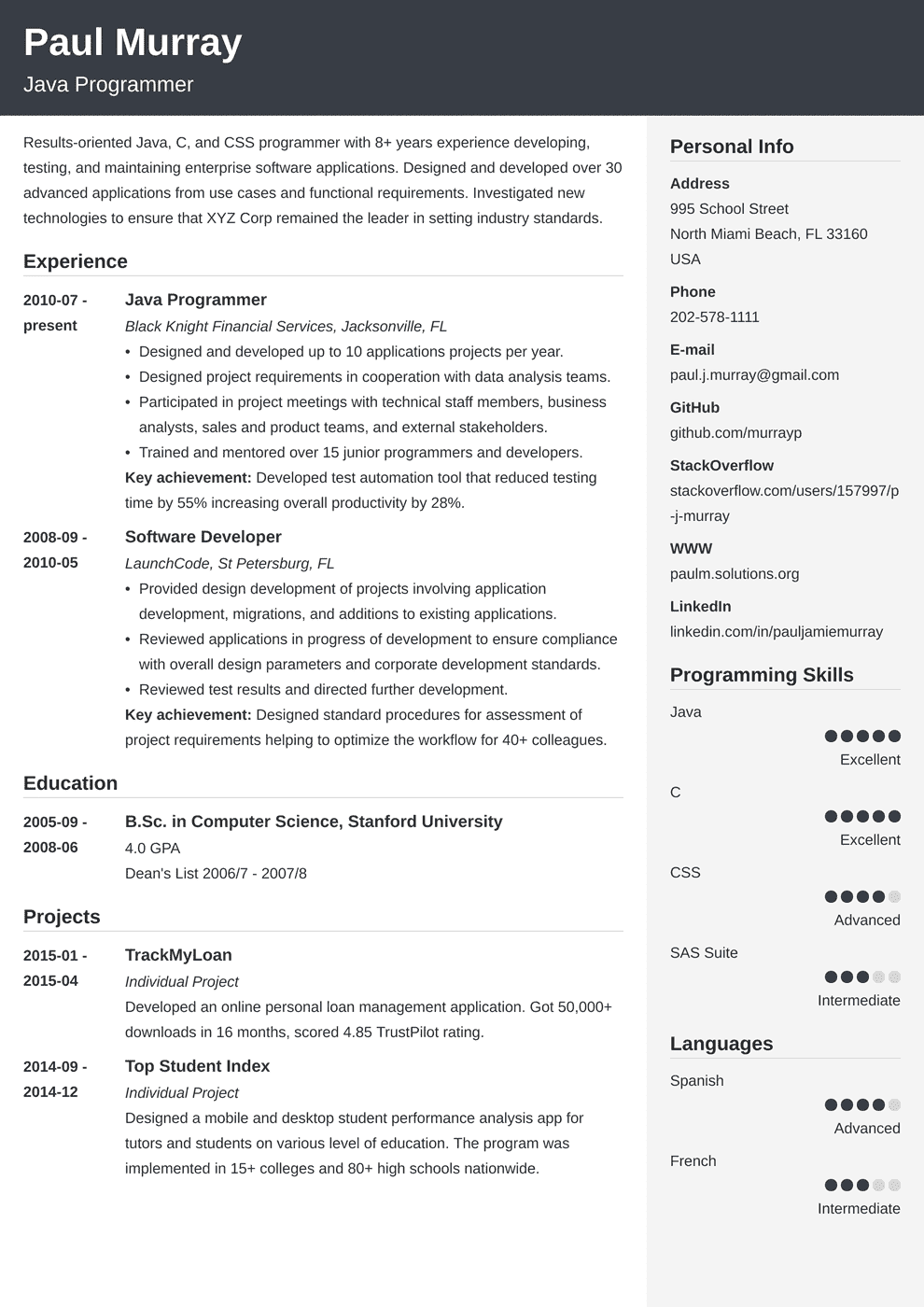 Programmer Resume Examples Template Guide 