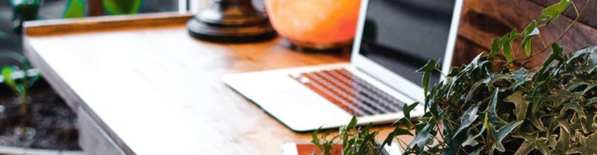 References on a CV: Should You Include Them?