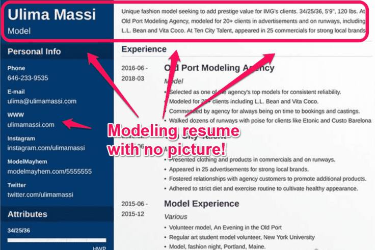 Should You Put A Picture On A Resume Templates 