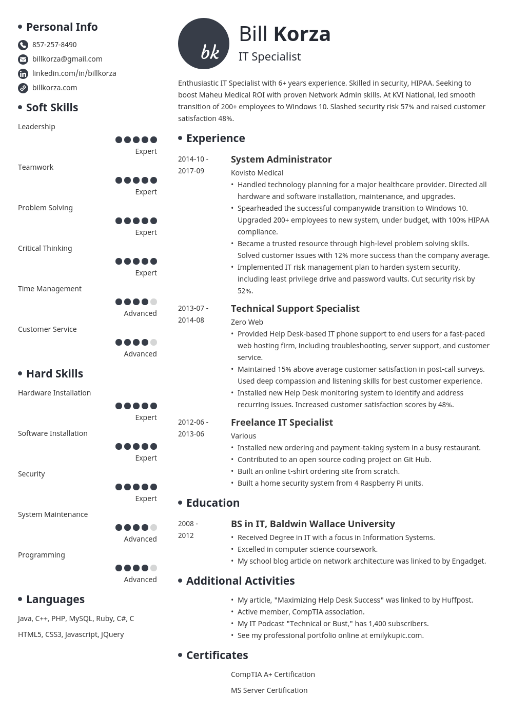 19 Professional Resume Profile Examples Section Template