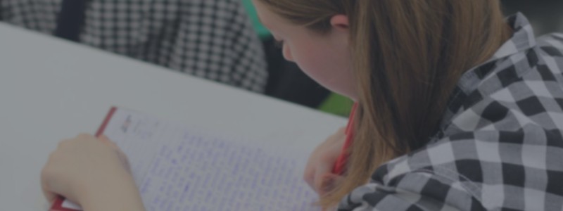 Student CV: Templates + 20 Examples for 2025