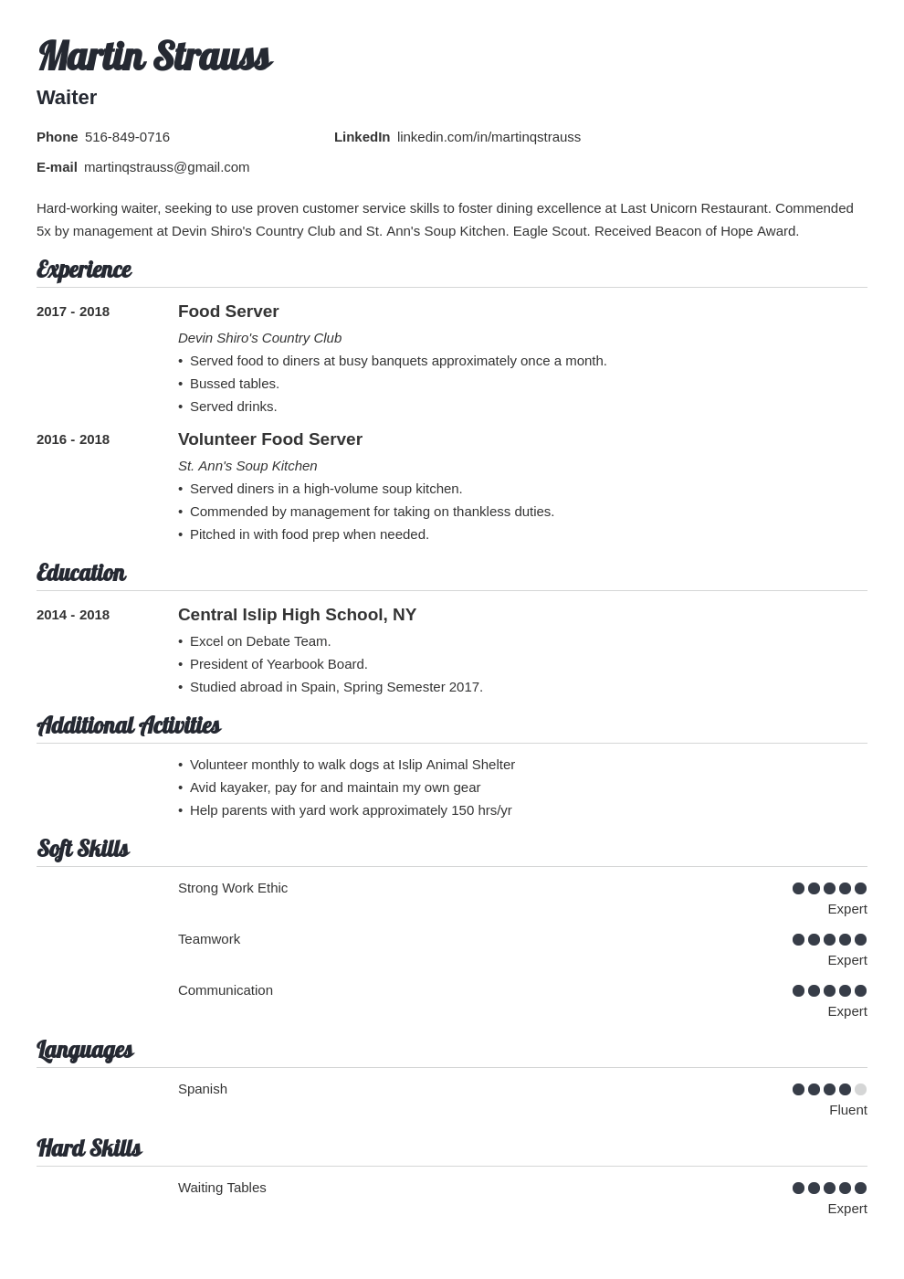 Student Resume Examples No Experience
