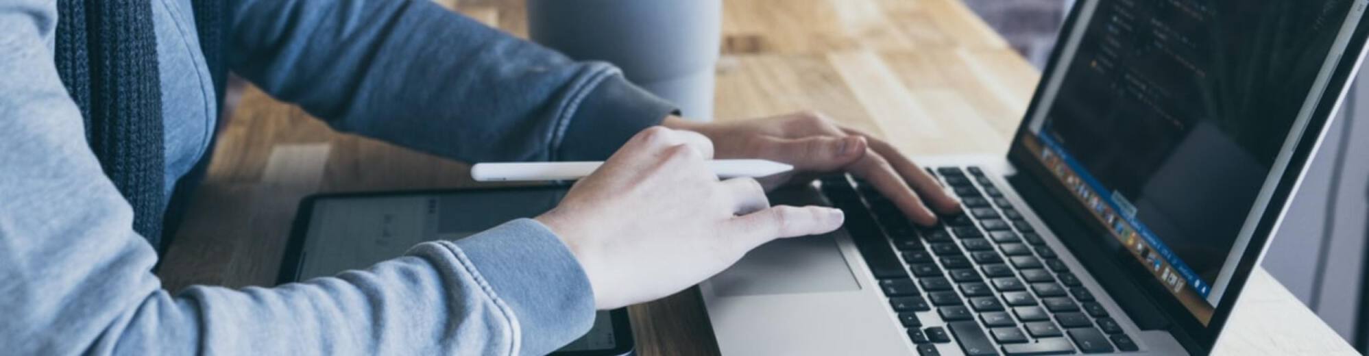 18+ Visual CV Templates: Striking CV Examples for 2024