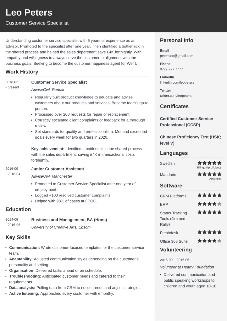 Professional UK CV Templates for All Jobs