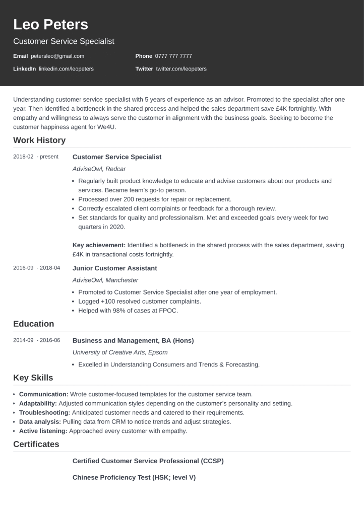 Professional UK CV Templates for All Jobs