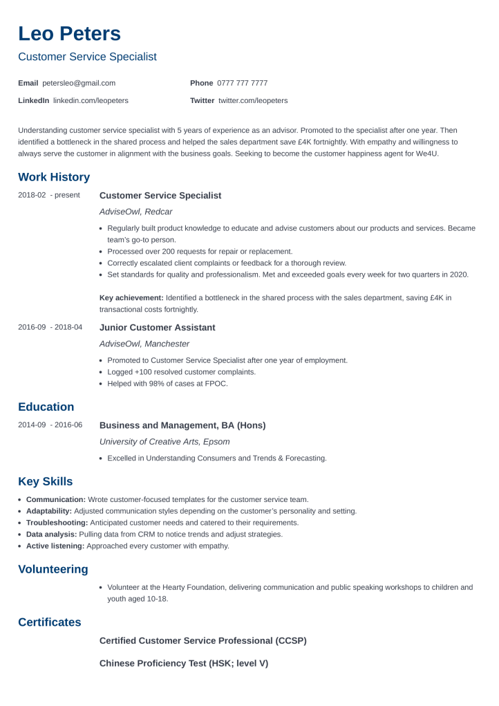 Professional UK CV Templates for All Jobs